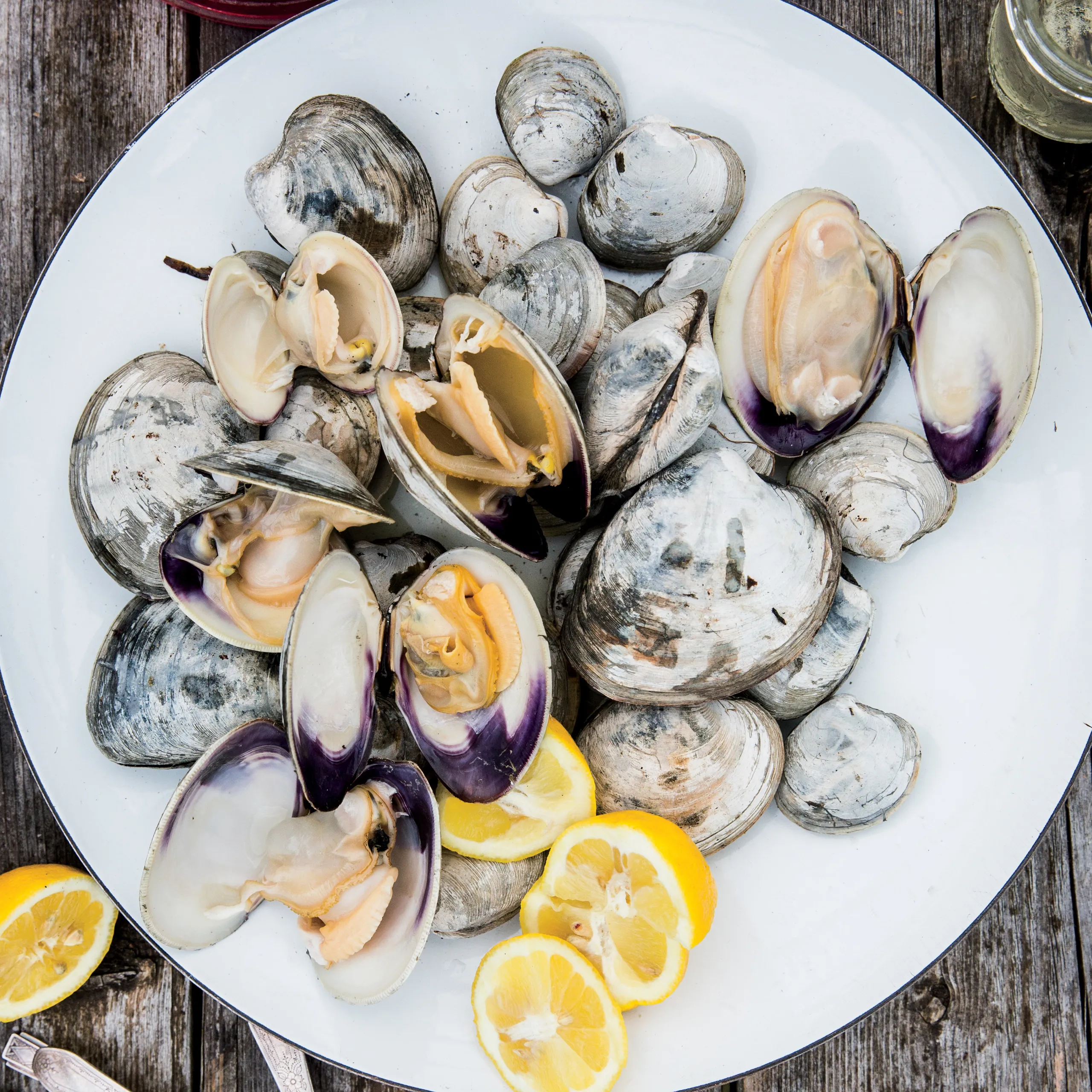 Clams Whole Cooked – FRANZ FOODS